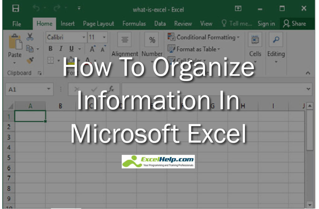 How To Organize Information in Microsoft Excel | Excel Help