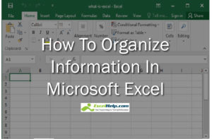 How To Organize Information in Microsoft Excel | Excel Help