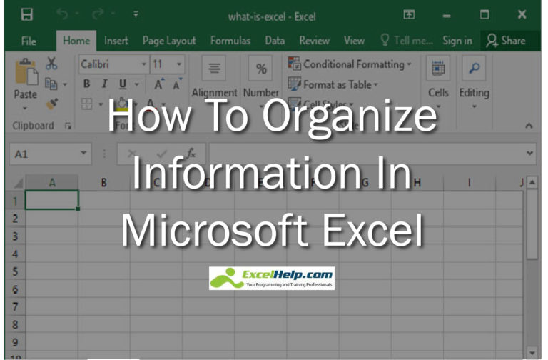 How To Organize Information in Microsoft Excel | Excel Help